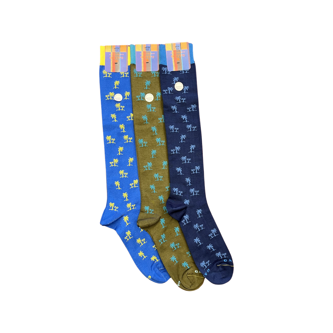 CALZE Archivi - Barbisio